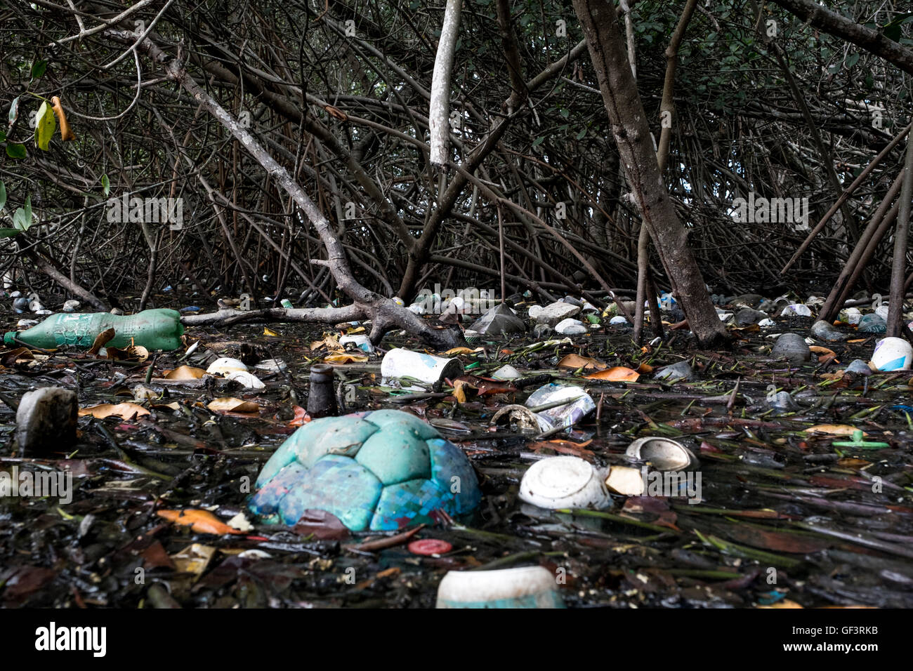 Heavy water pollution hi-res stock photography and images - Alamy