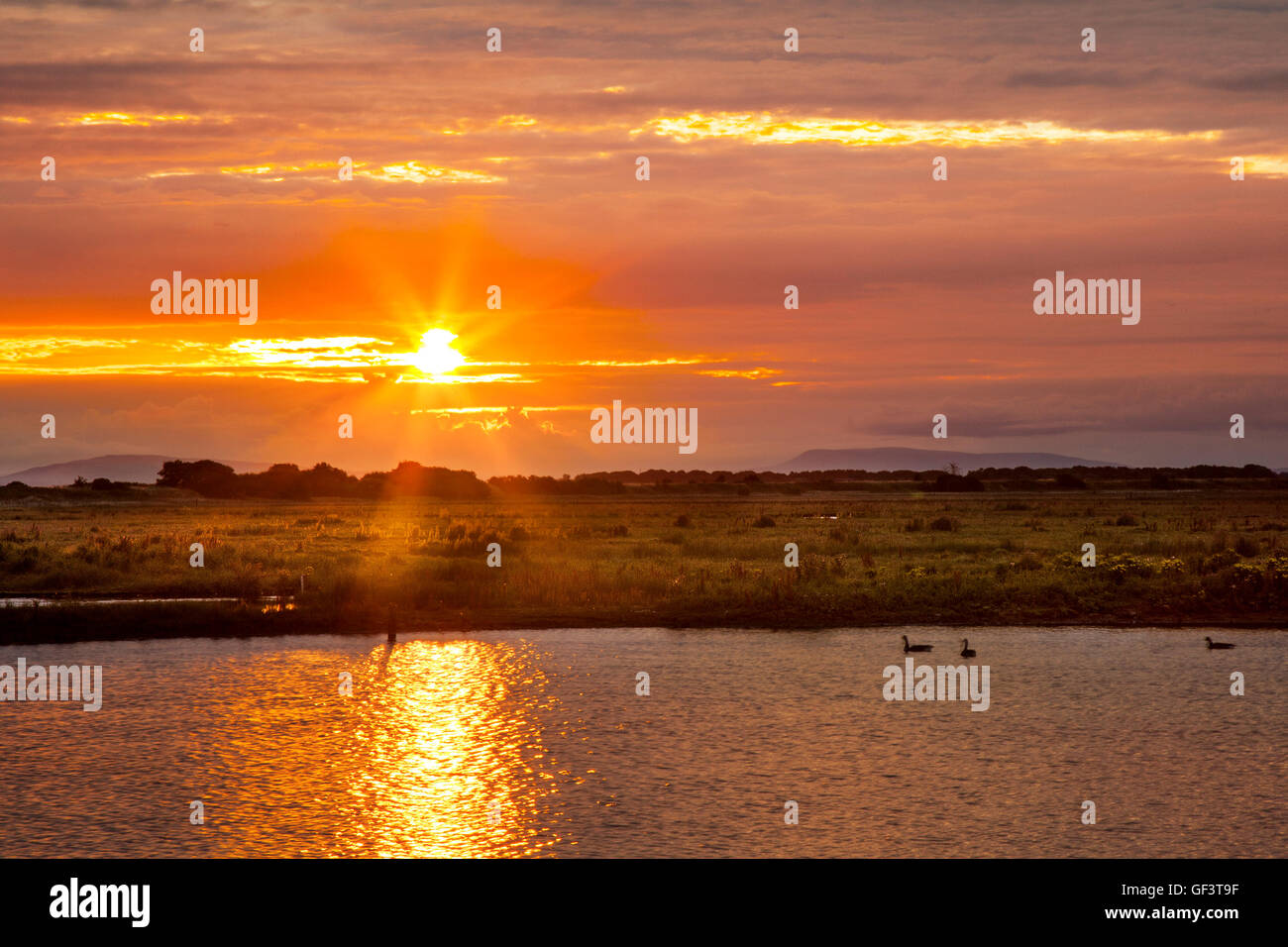 Waterfowl migration route hi-res stock photography and images - Alamy
