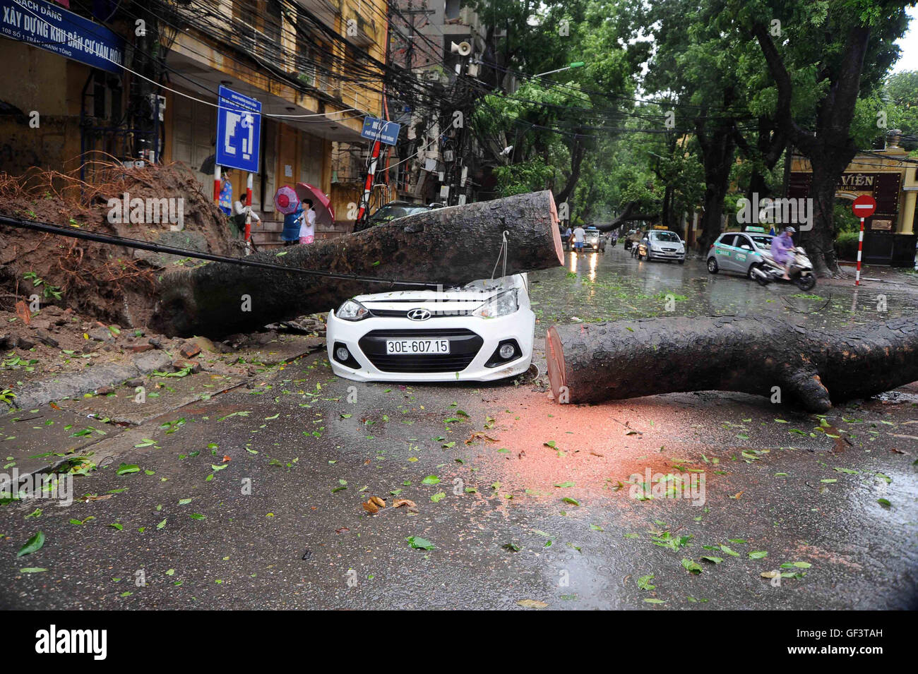 Car crashed into tree hi-res stock photography and images - Alamy