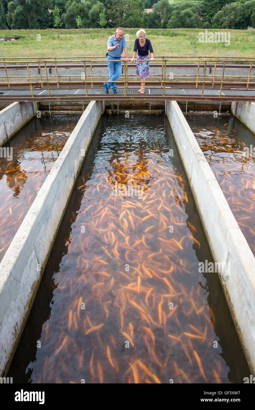 Lichtenecker hi-res stock photography and images - Alamy