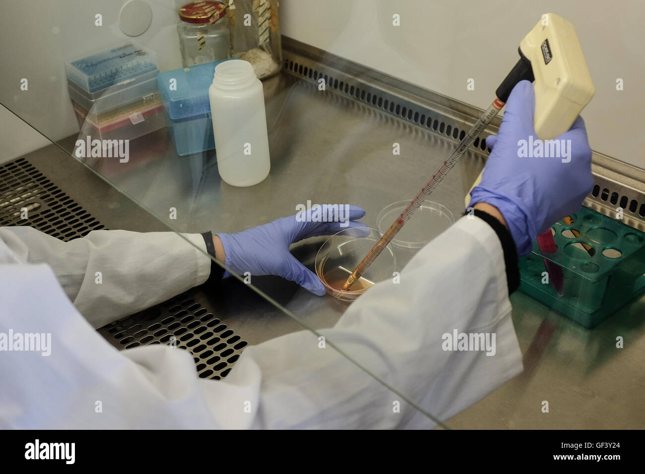 Lab meat startup hi-res stock photography and images - Alamy