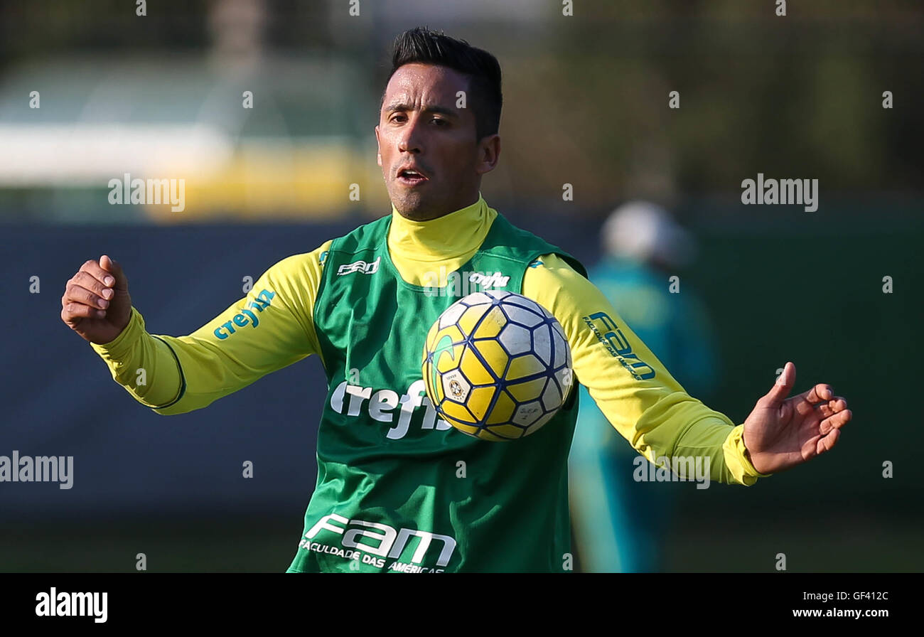 The player Lucas Barrios, the SE Palmeiras, during training, the ...