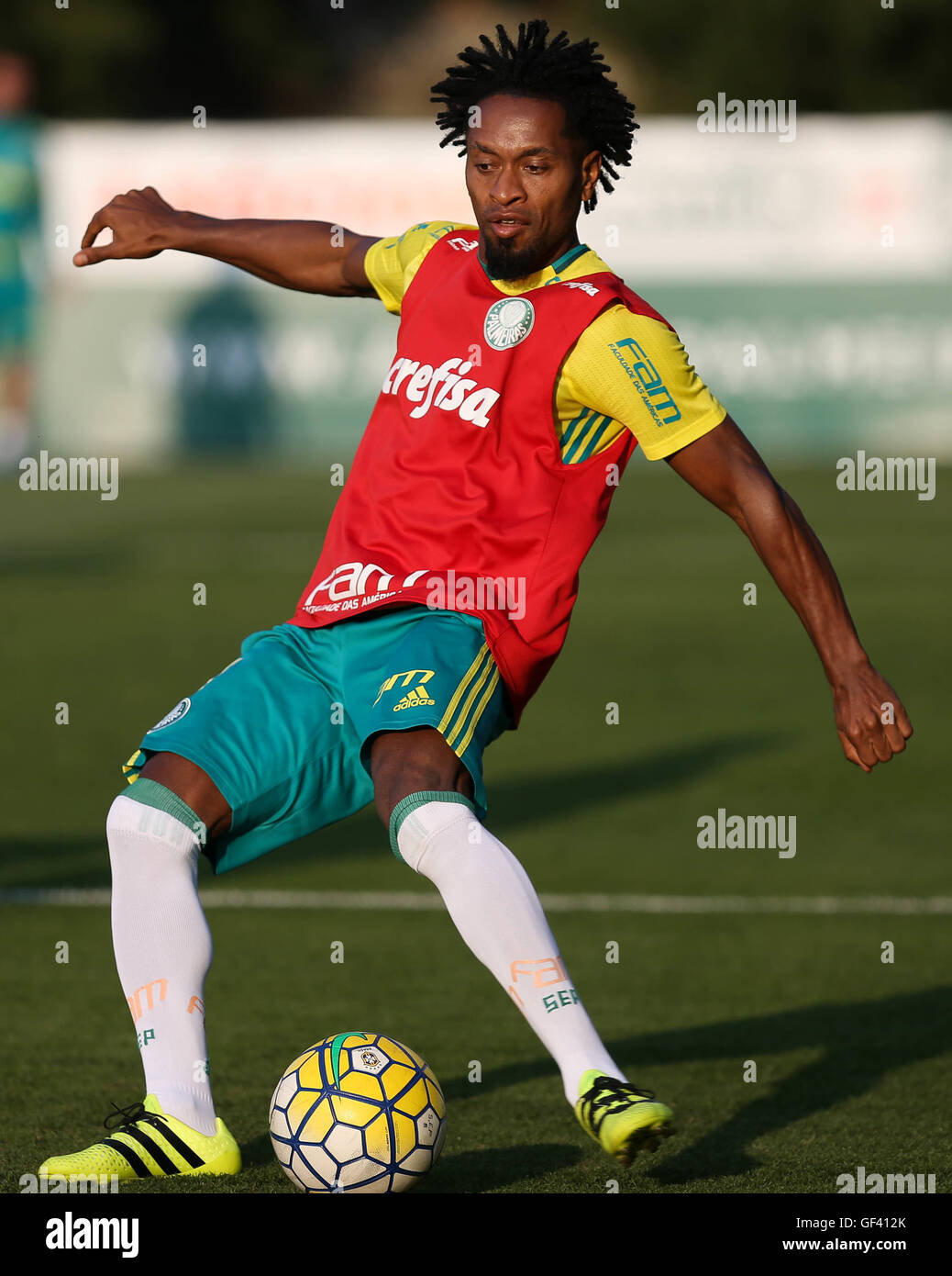 The player Ze Roberto, the SE Palmeiras, during training, the Football ...