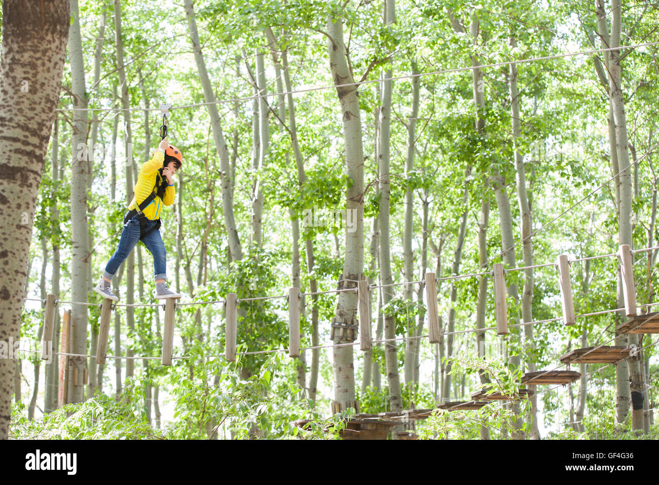 Tree top obstacle course hi-res stock photography and images - Alamy
