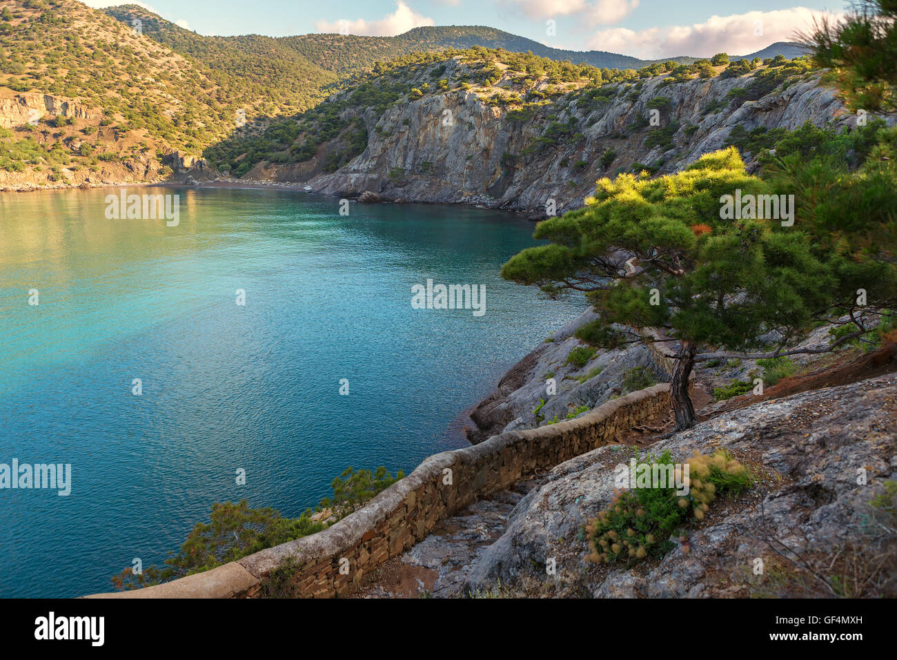 Koba tree hi-res stock photography and images - Alamy