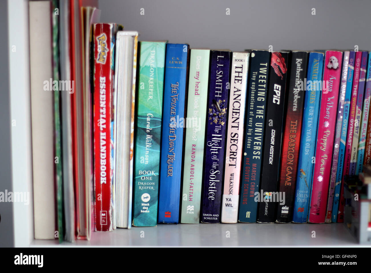 Fantasy book cover hi-res stock photography and images - Alamy