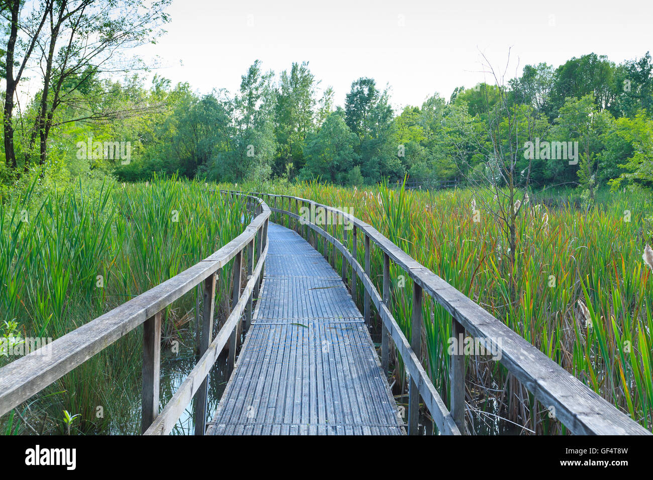 Old footbridge over lagoon. Outdoor and nature. Rural panorama Stock ...
