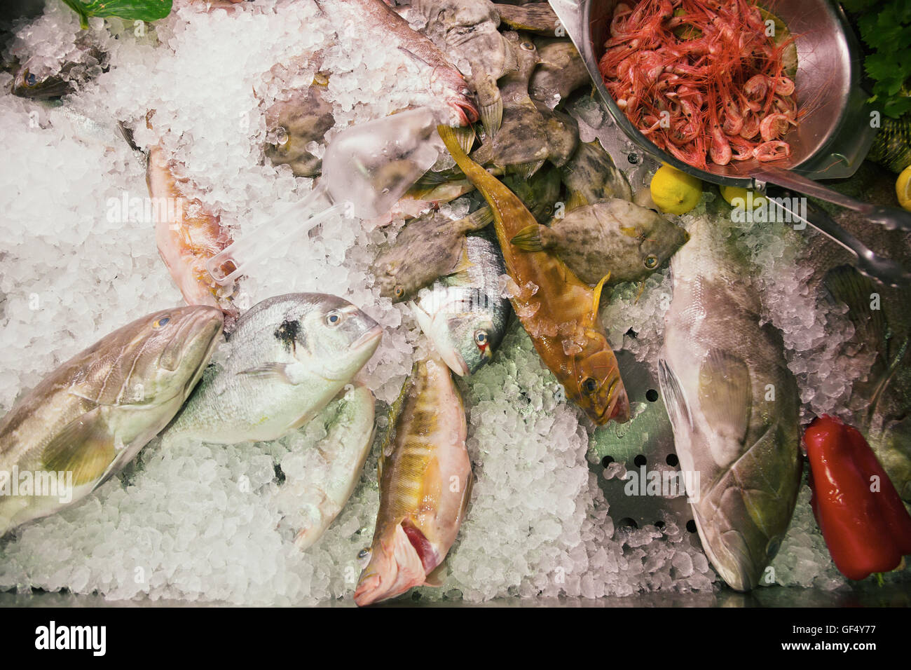 Fresh fish seafood assortment hi-res stock photography and images - Alamy