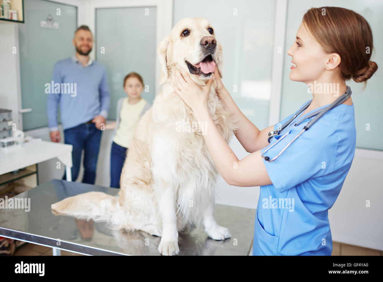 Checking dog hi-res stock photography and images - Alamy