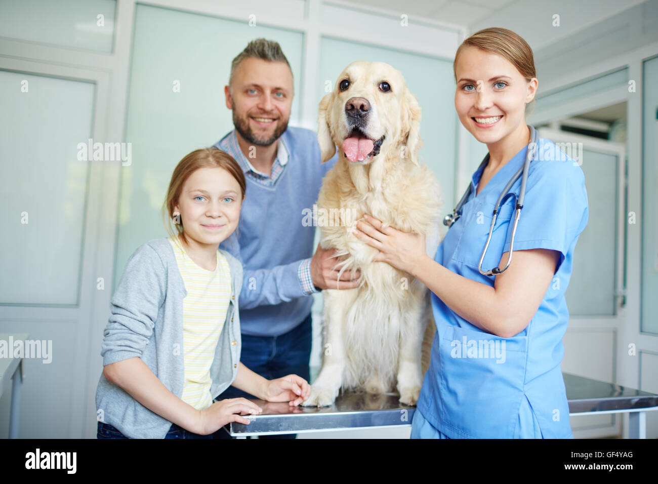 Visiting vet clinics Stock Photo - Alamy