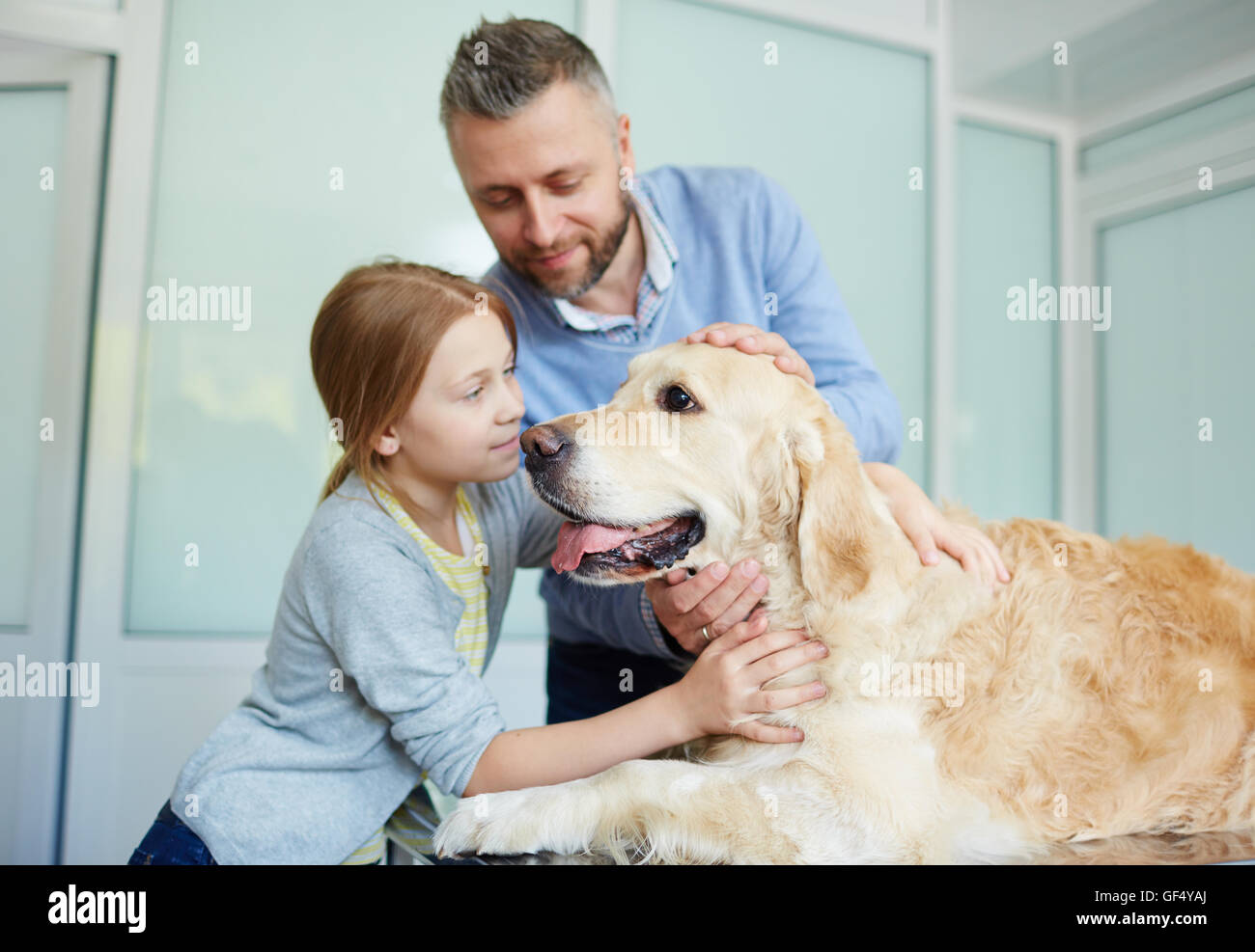 Cuddling pet hi-res stock photography and images - Alamy