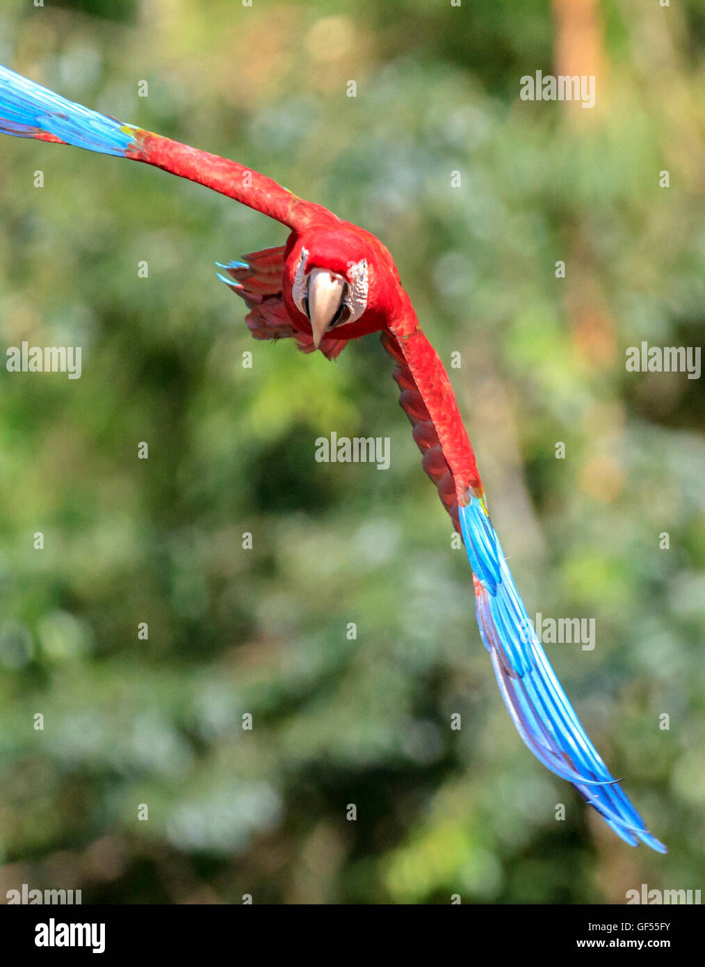 Bright colour peru hi-res stock photography and images - Alamy
