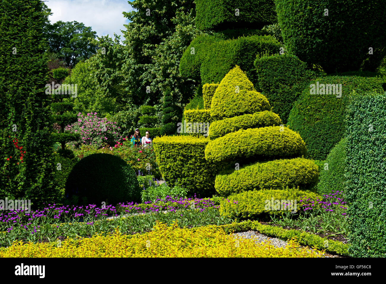 The topiary gardens at Levens Hall, South Lakeland, Cumbria, England UK ...