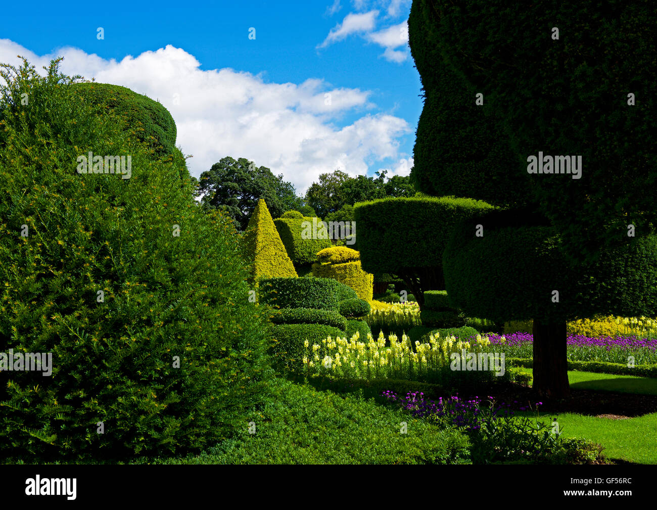 The topiary gardens at Levens Hall, South Lakeland, Cumbria, England UK ...
