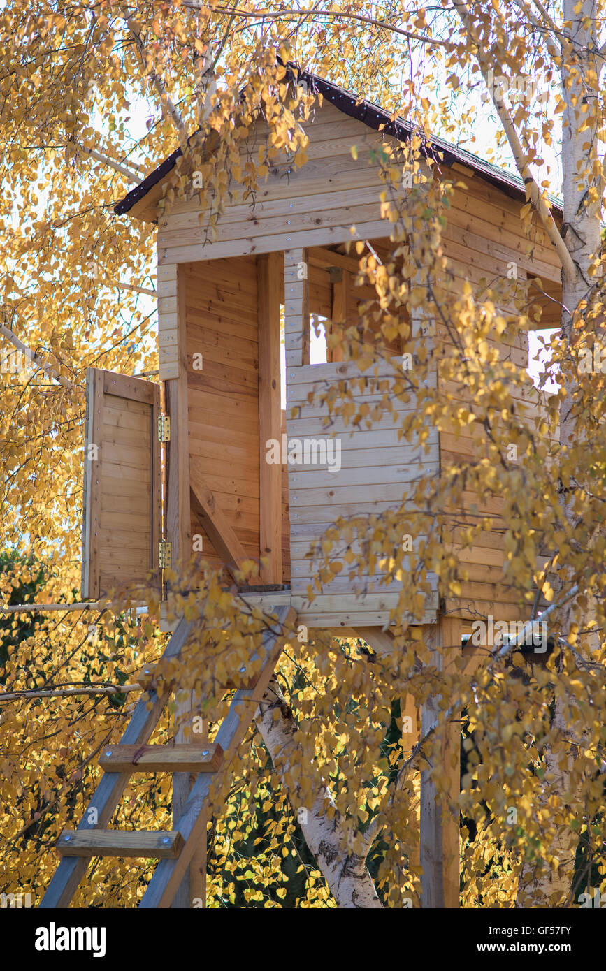 Birch tree house hi-res stock photography and images - Alamy