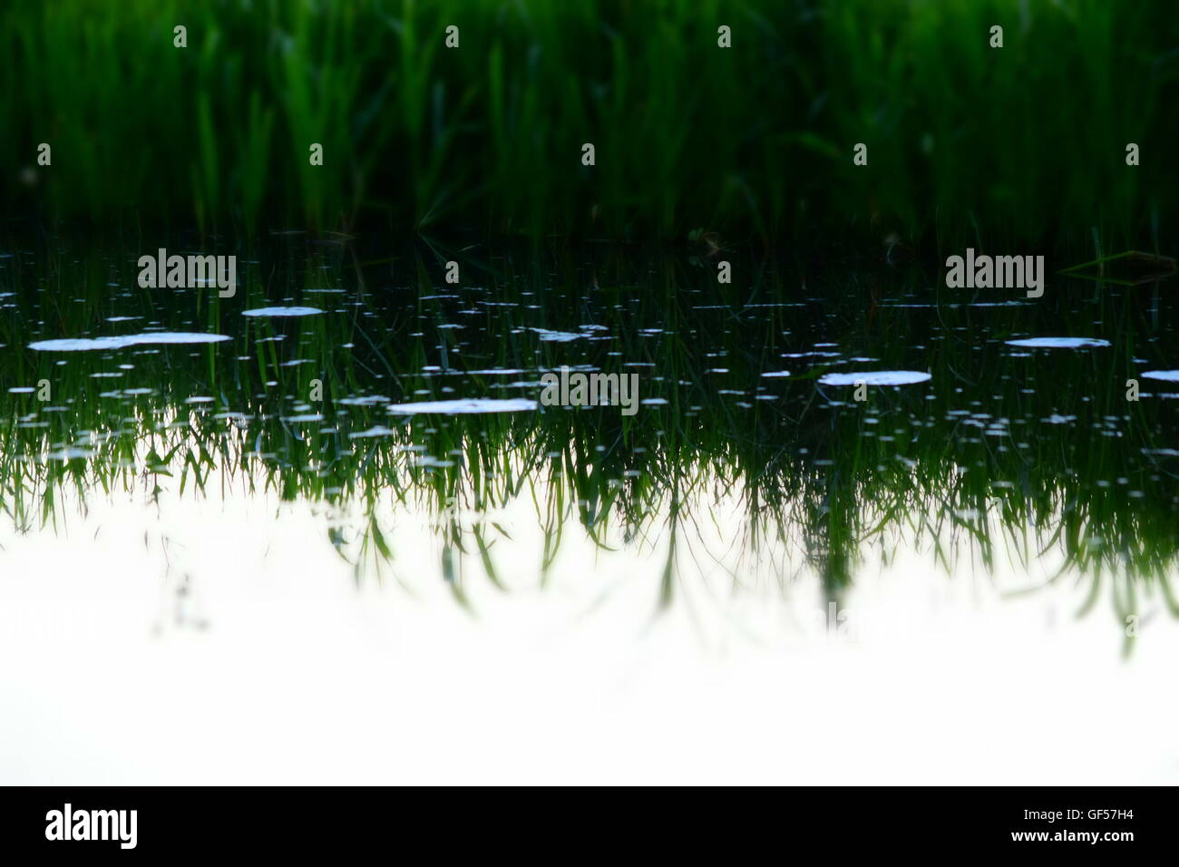 Reflection sunset water hi-res stock photography and images - Alamy