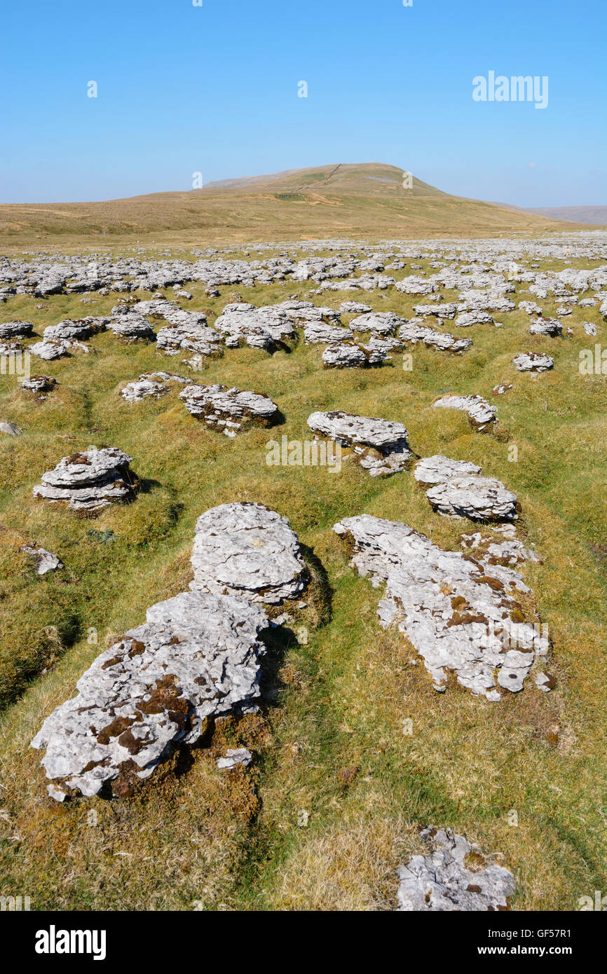 Limestone formation on Scales Moor above Ingleton, North Yorkshire ...