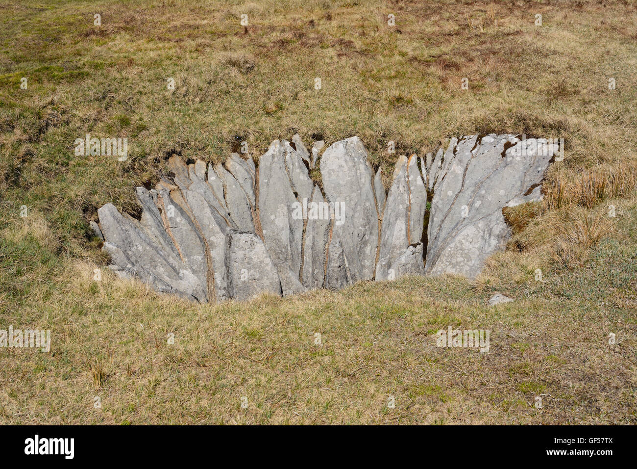 Sinkholes on Scales Moor above Ingleton in the Yorkshire Dales National ...