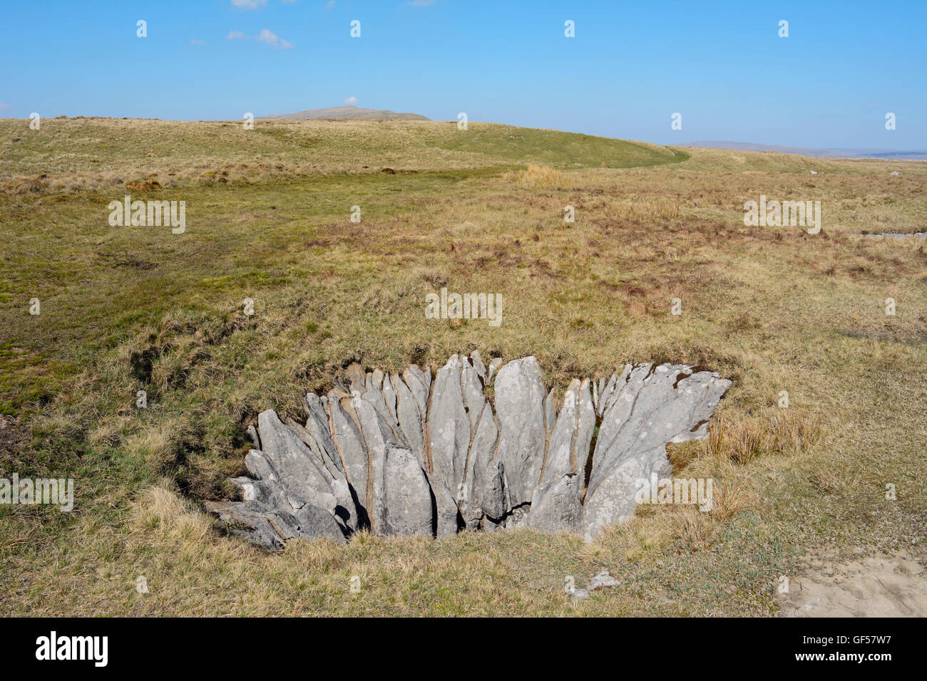 Sinkholes on Scales Moor above Ingleton in the Yorkshire Dales National ...