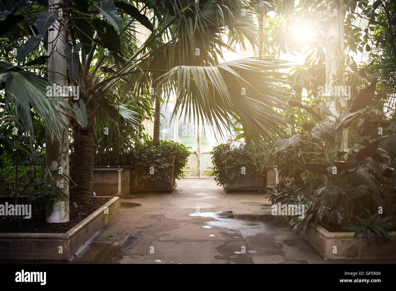 Kew gardens palm house pond hi-res stock photography and images - Alamy