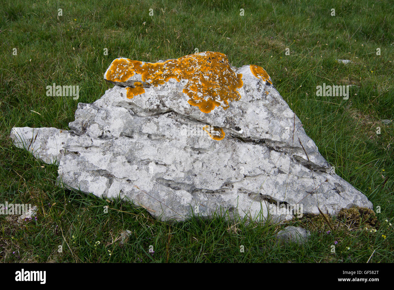 Norber erratics on the southern slopes of Ingleborough, the largest ...