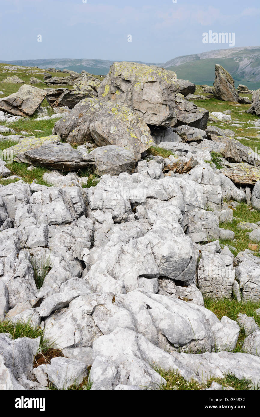 Norber erratics on the southern slopes of Ingleborough, the largest ...