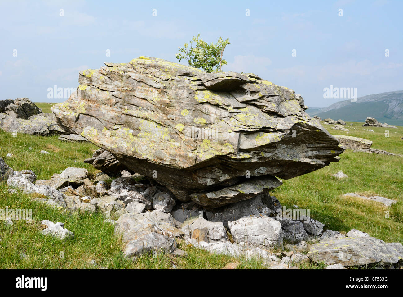 Norber erratics on the southern slopes of Ingleborough, the largest ...