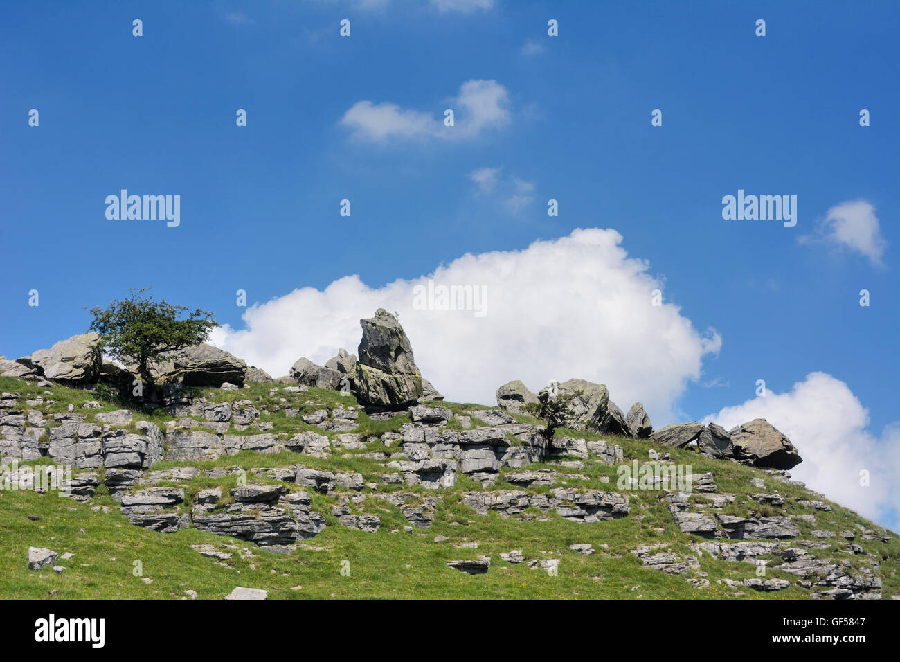 Norber erratics on the southern slopes of Ingleborough, the largest ...