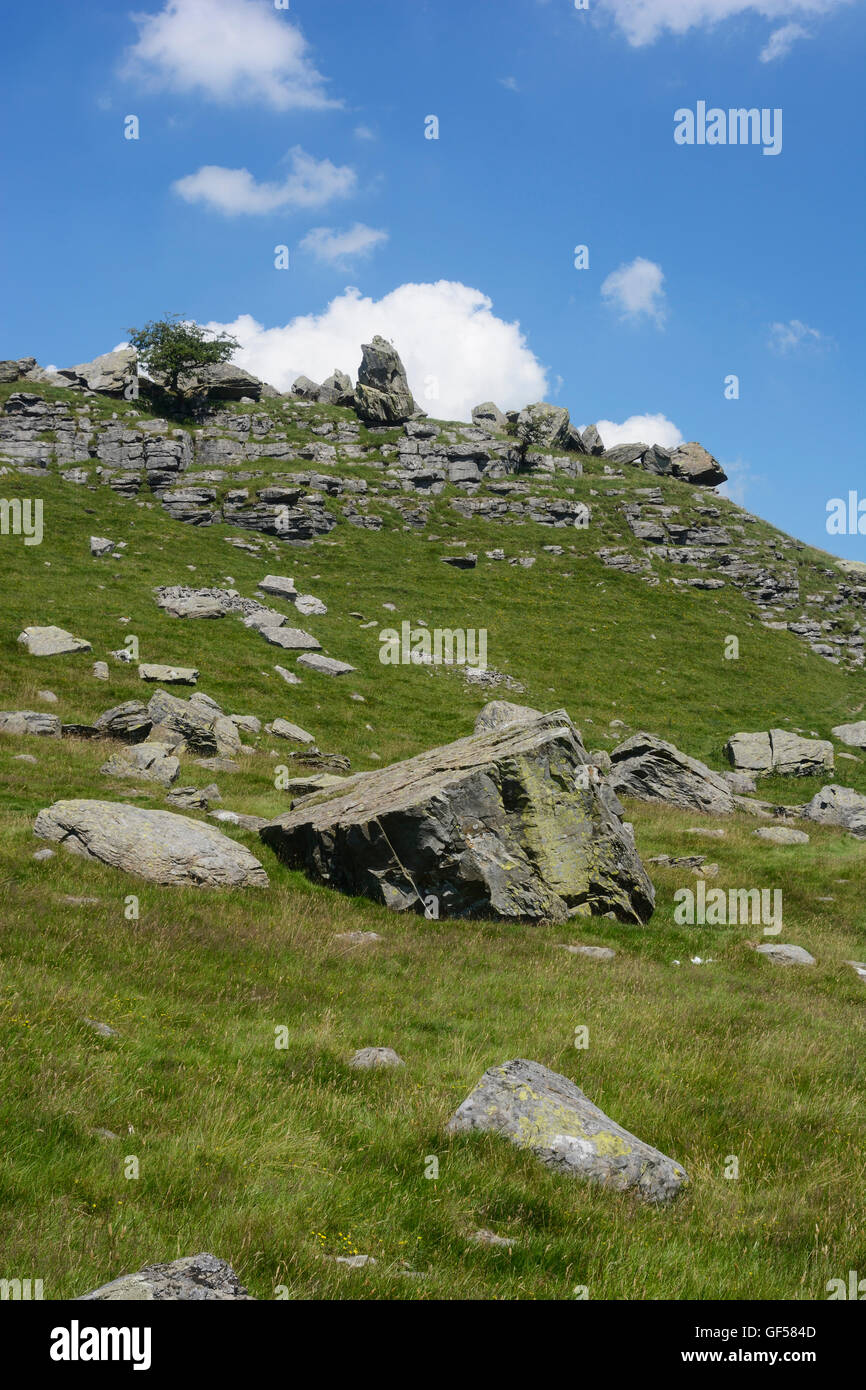 Norber erratics on the southern slopes of Ingleborough, the largest ...