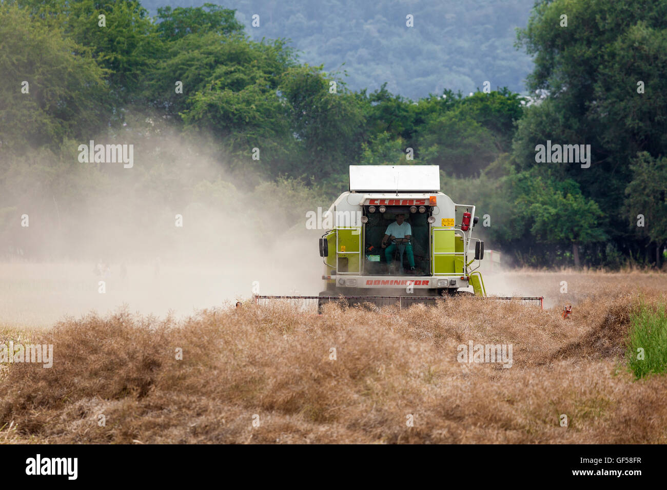 Harvester works in field harvesting hi-res stock photography and images ...
