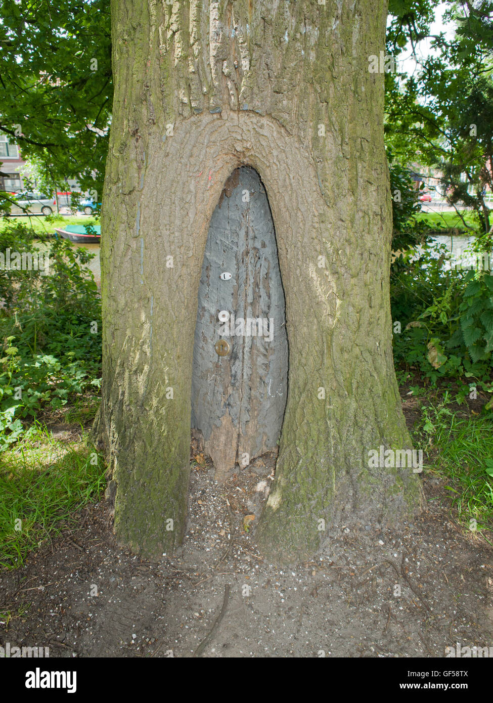 Entrance to tree house Stock Photo - Alamy