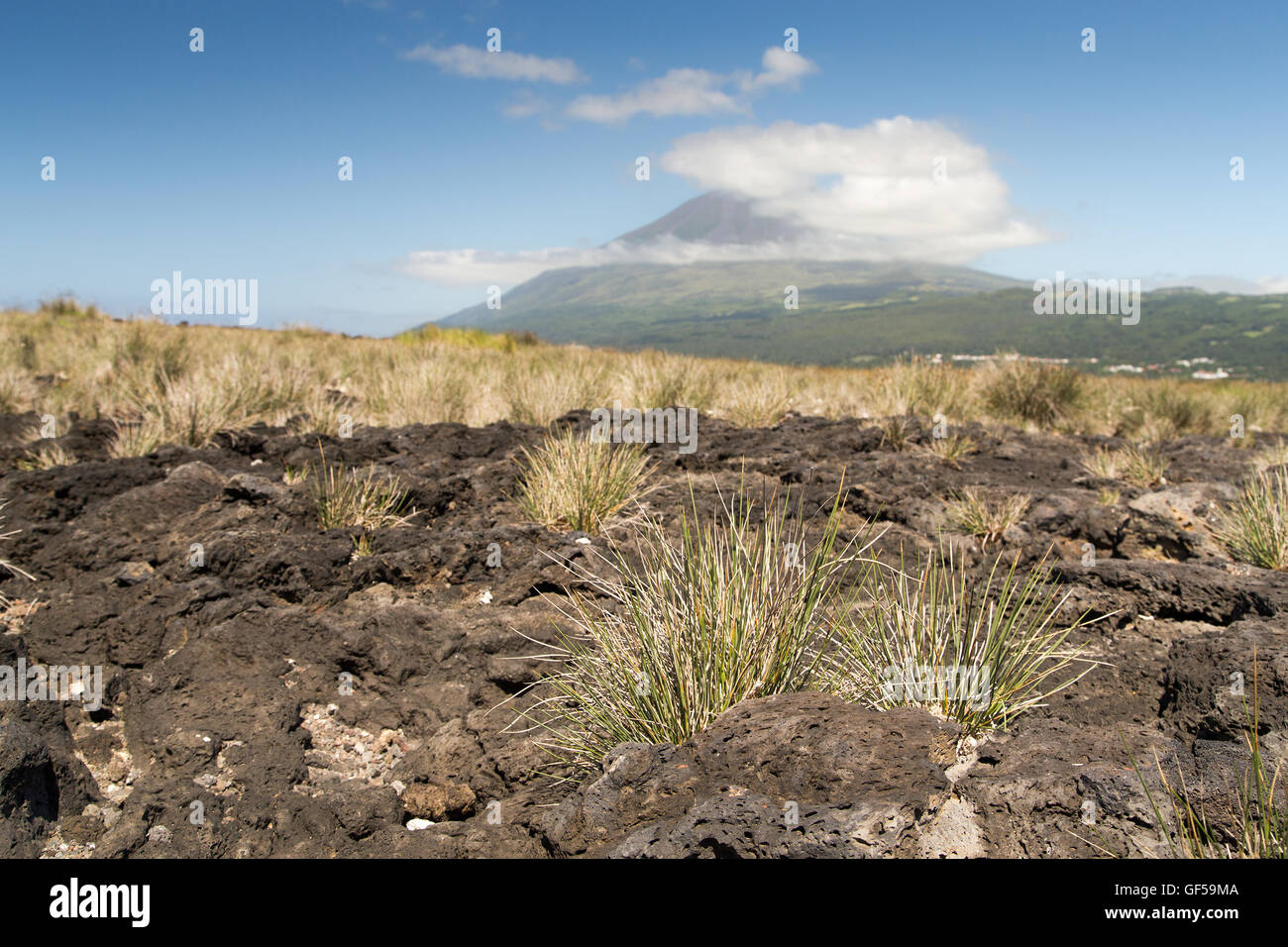 shoreline nature landscape of Pico mountain at Pico island in Azores ...