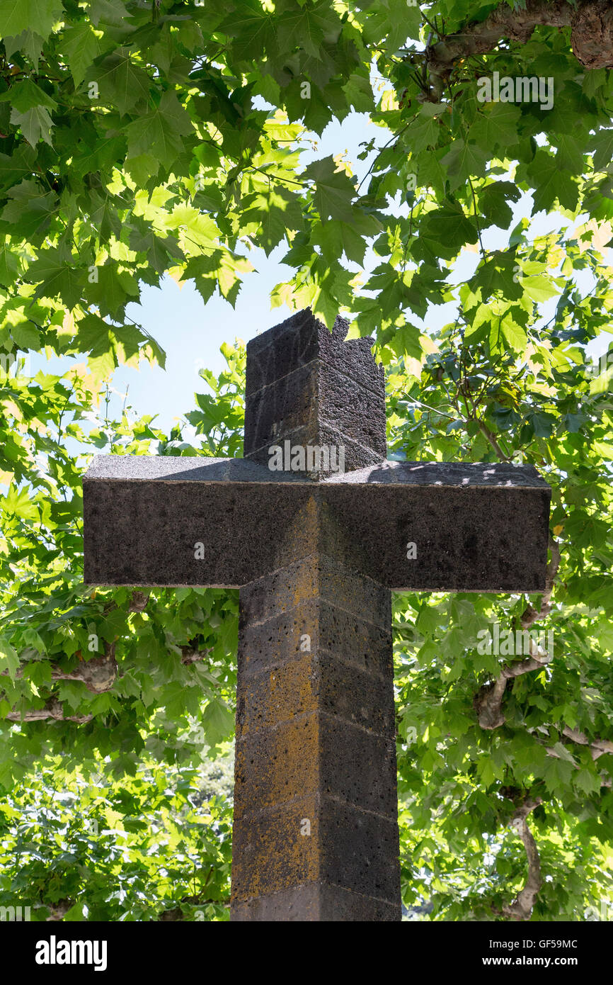 Maple cross hi-res stock photography and images - Alamy
