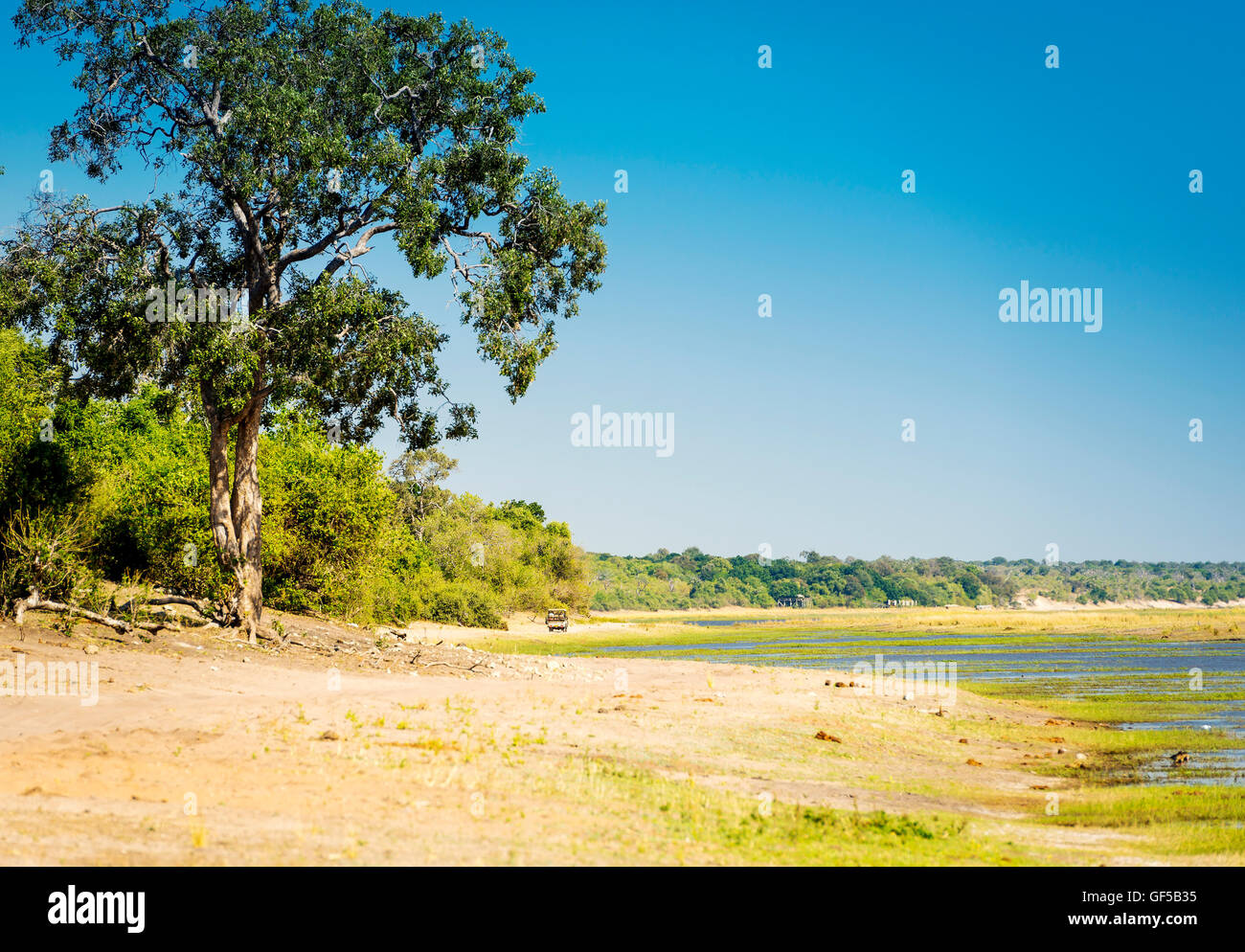 African safari botswana hi-res stock photography and images - Alamy
