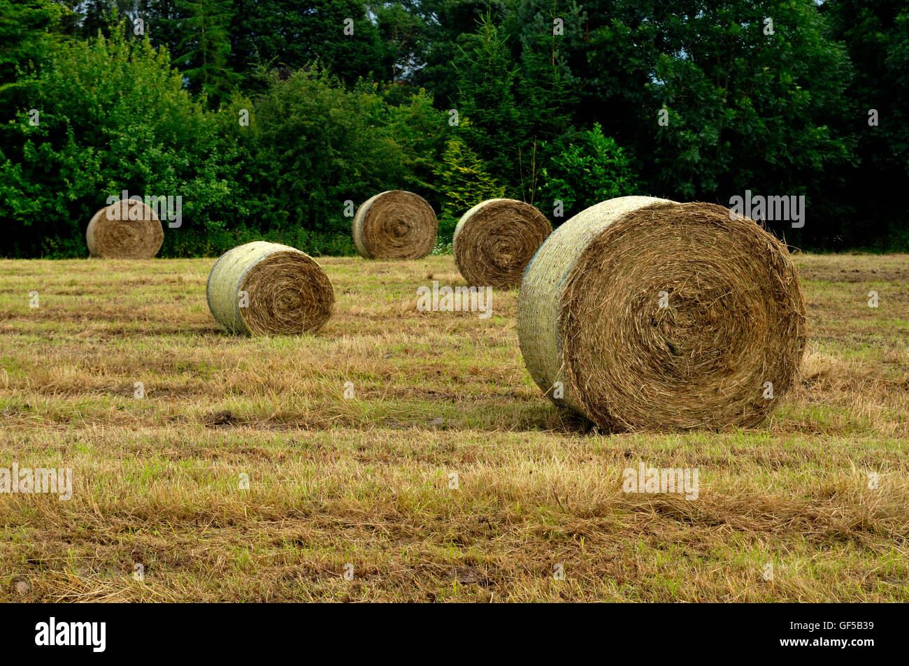 Food bales hi-res stock photography and images - Alamy