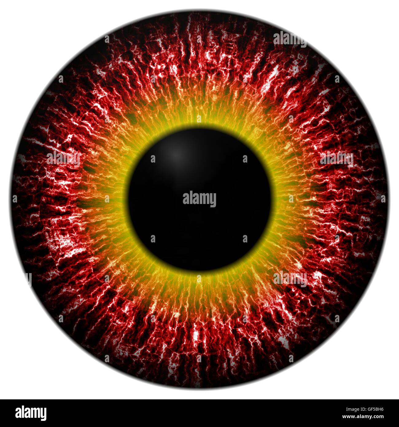 Eye iris generated realistic color. Illustration of human eye on white ...