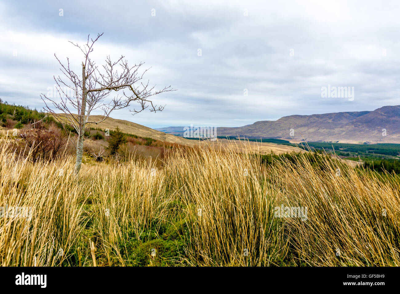 Raw landscape hi-res stock photography and images - Alamy