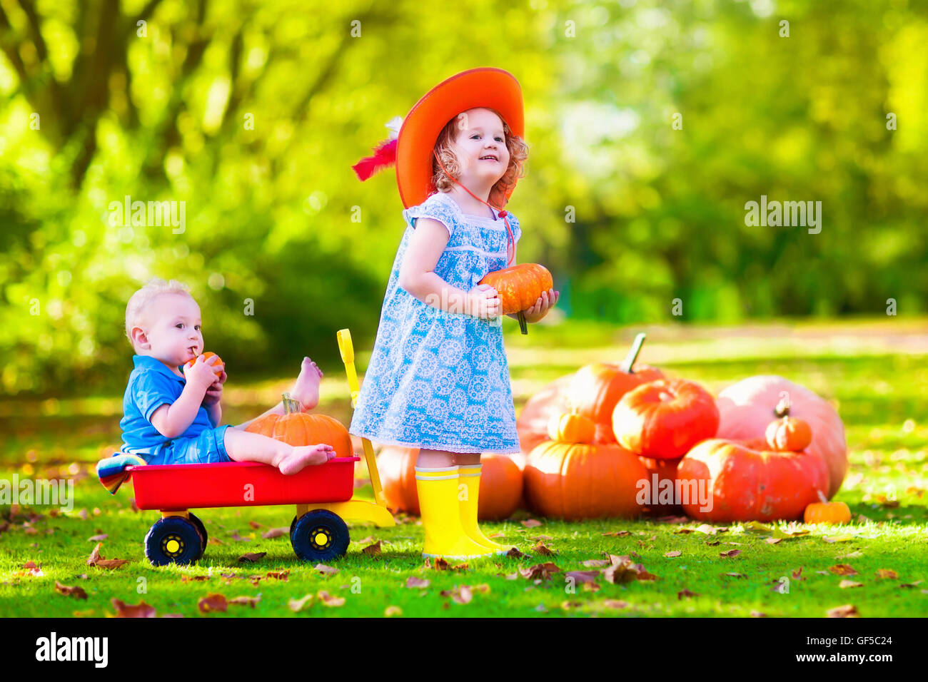 Kids playing at pumpkin patch at Halloween. Children play and pick ...