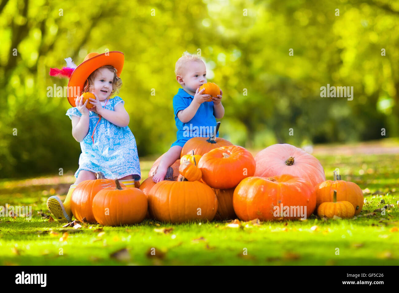Kids playing at pumpkin patch at Halloween. Children play and pick ...