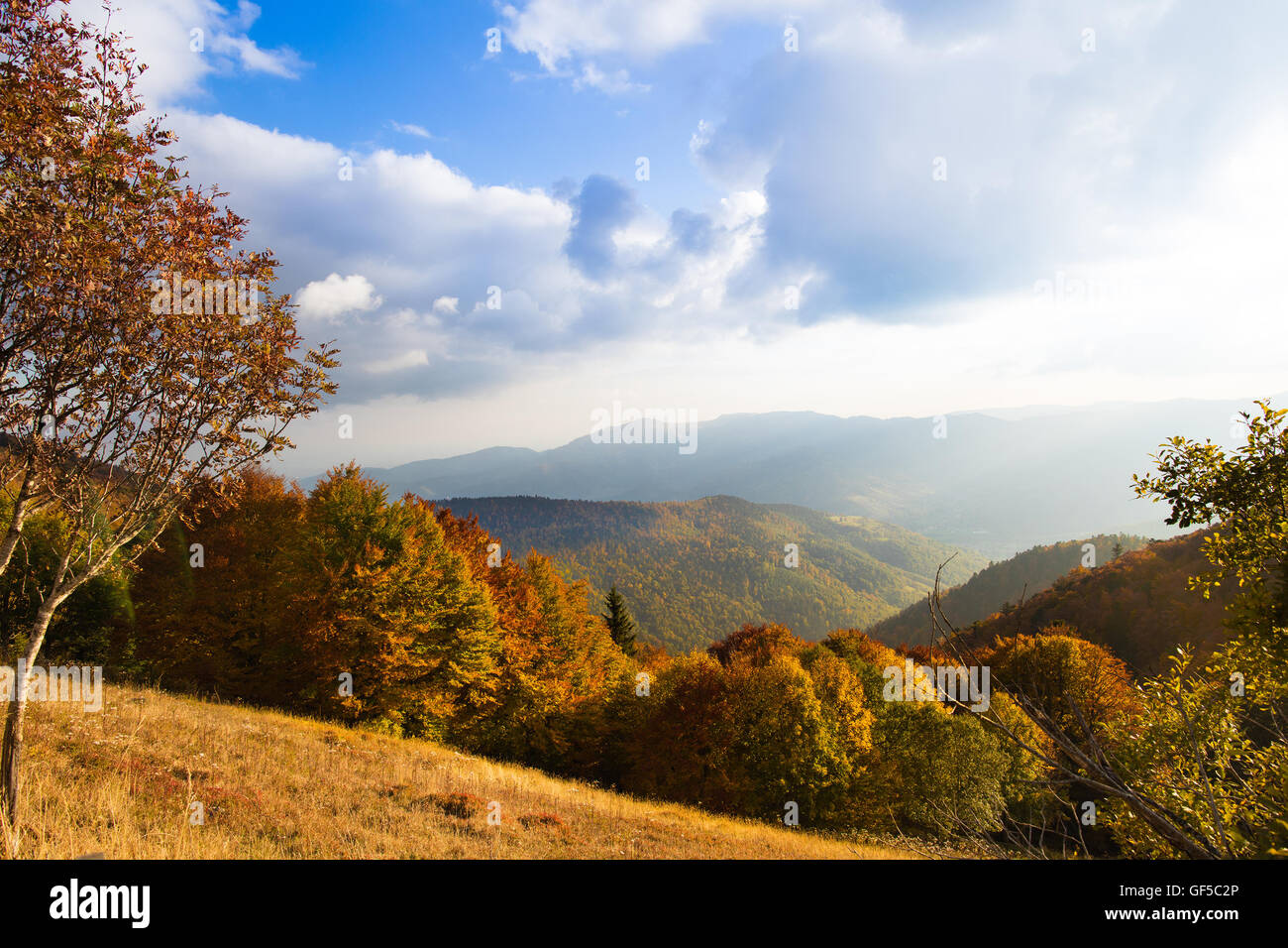Alsace lorraine hi-res stock photography and images - Alamy