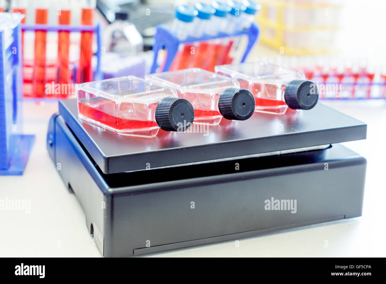 virology test tube with props and sample Stock Photo - Alamy