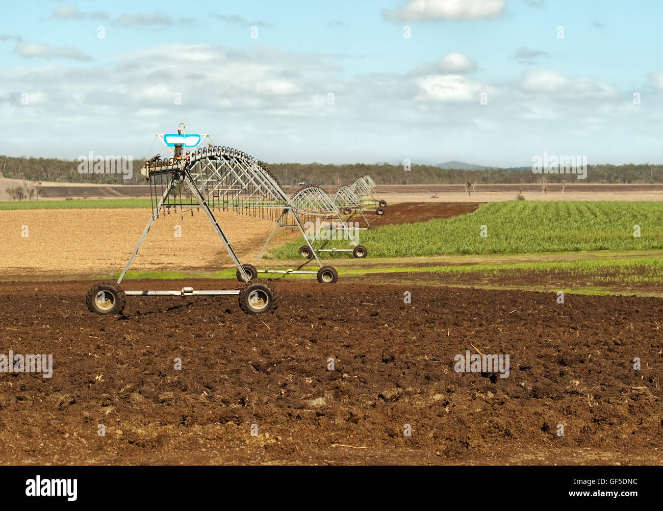 Australian agriculture scene rural irrigation on sugar cane farm ...