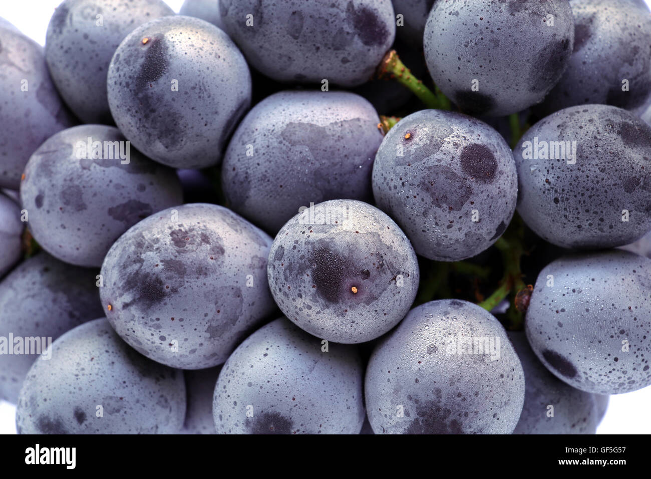 Japanese purple grape isolated #2 Stock Photo - Alamy