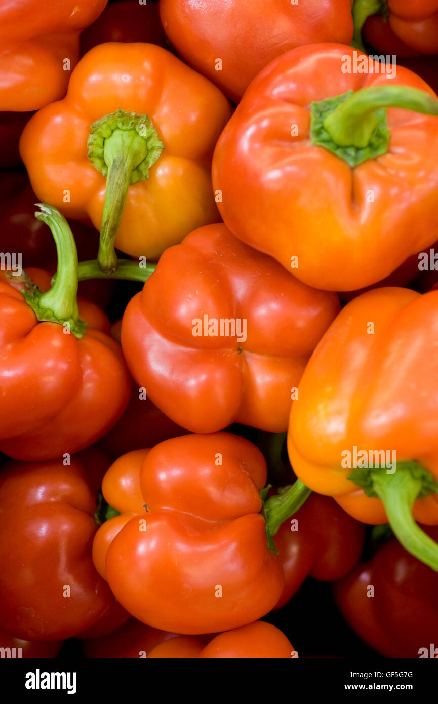 Capsicum annuum hi-res stock photography and images - Alamy