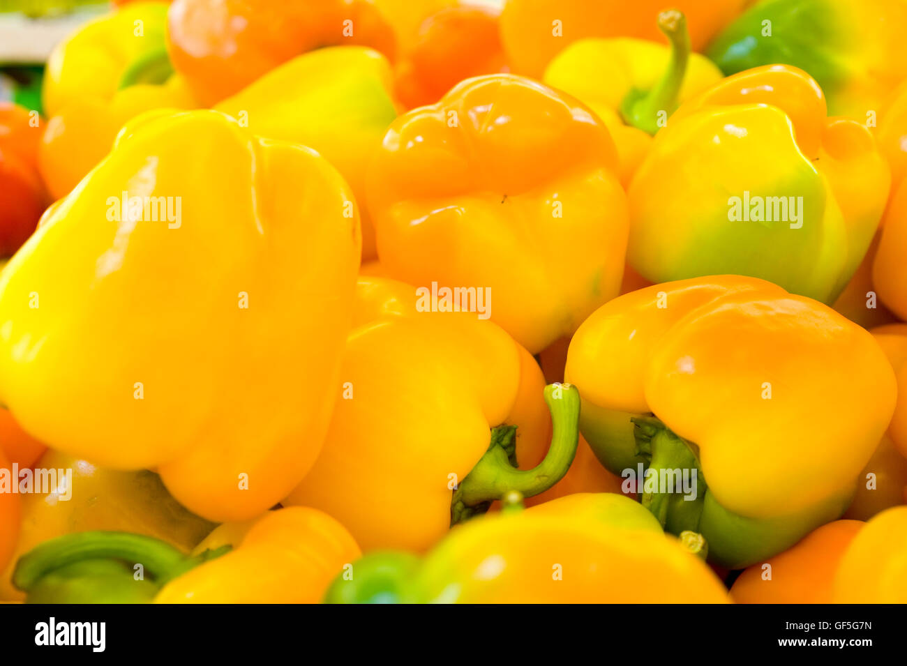 Capsicum annuum hi-res stock photography and images - Alamy