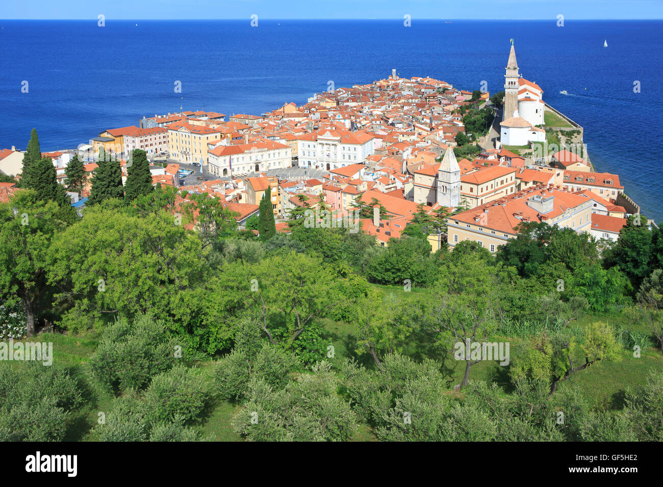 Panoramic view of the old town of Piran, Slovenia Stock Photo - Alamy