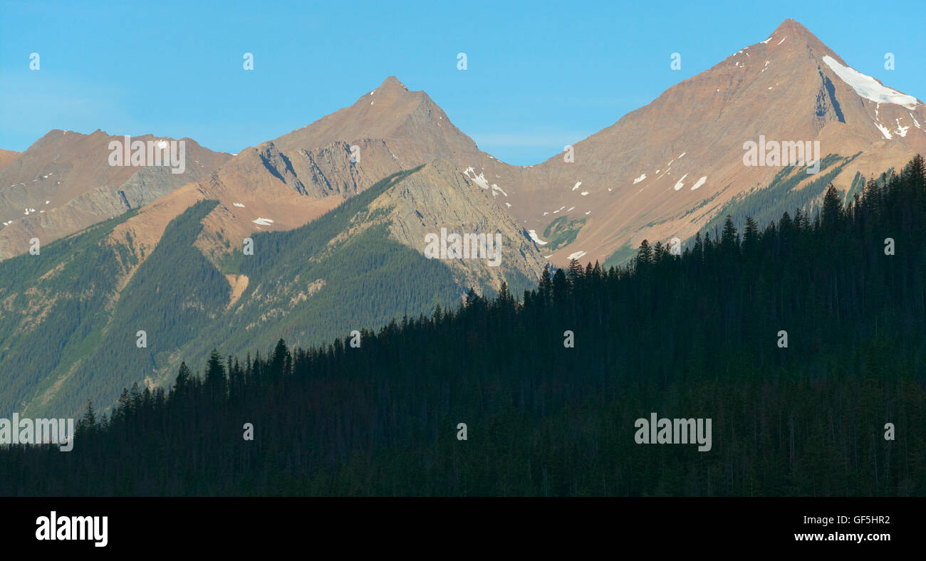 Landscape with forest in British Columbia. Field. Canada. Horizontal ...