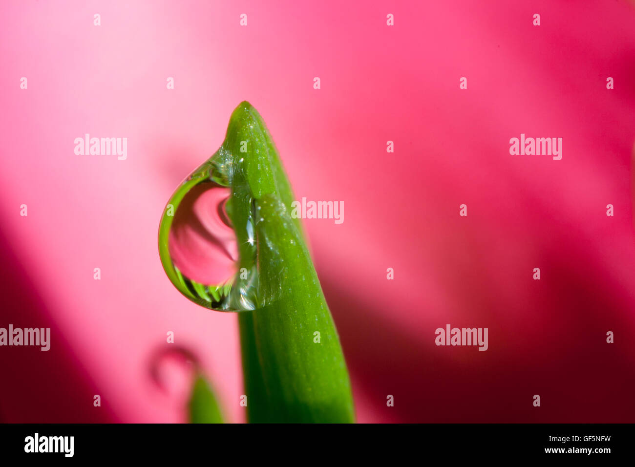 Heart water drop inside hi-res stock photography and images - Alamy