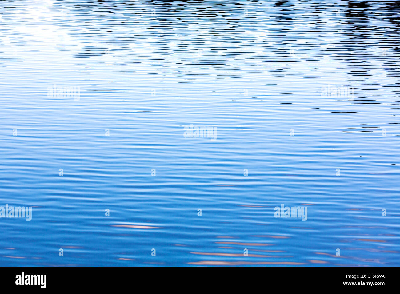 tranquil lake water with small ripples and waves Stock Photo - Alamy