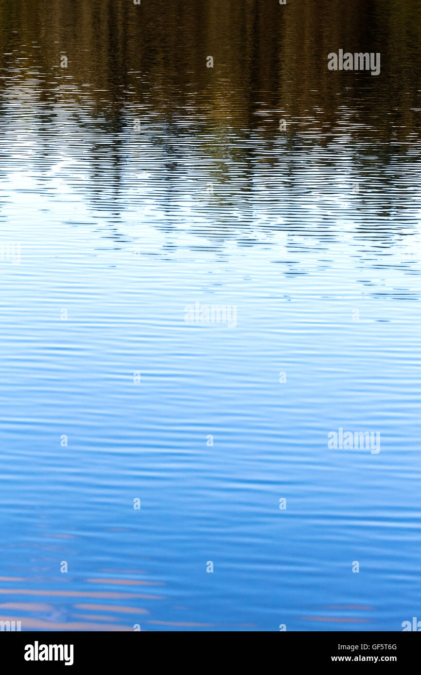 blue lake water with small waves and reflection of trees Stock Photo ...